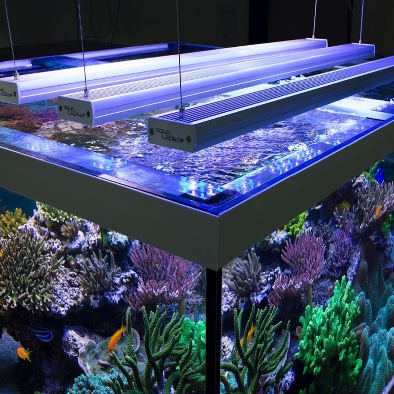 Lampa led acvariu aqualeds aquabar25 hc 25w p | lampa led 25w apa dulce ...